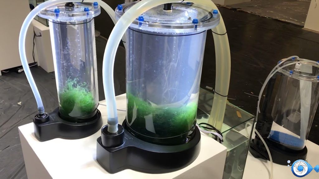 Tunze Macro Algae Reactor MAR 3181, l'épuration plus que parfaite ? - Mr Récif Captif, l ...
