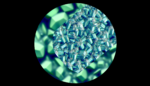 Le Phosphore/Phosphate en Bref - Mr Récif Captif, l'aquariophilie ...